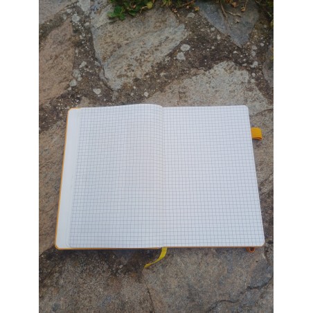 Waterproof geological field notebook - Buy geology products