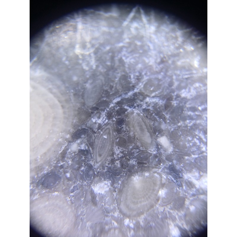 20x Magnifying Glass with LED and UV – Buy Geology Products