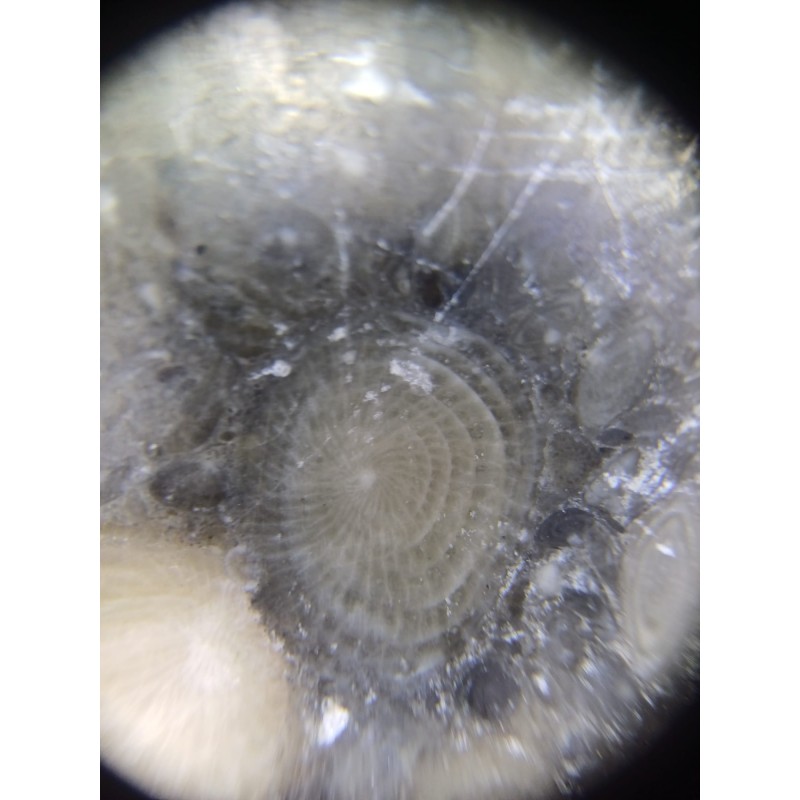 20x Magnifying Glass with LED and UV – Buy Geology Products